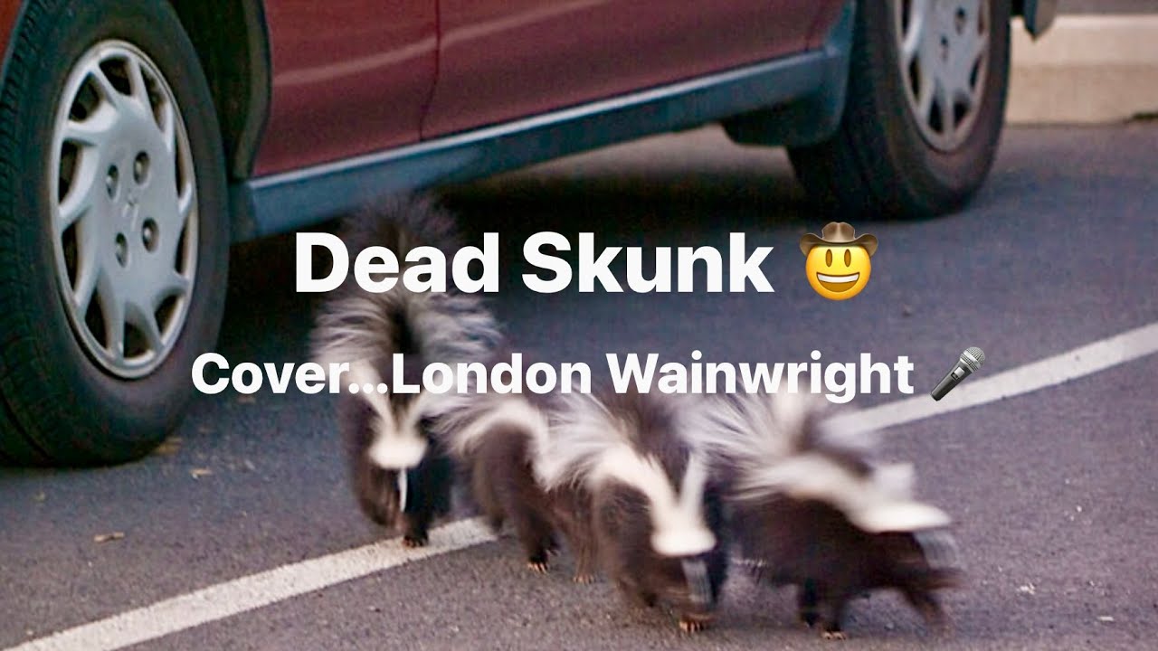 Dead Skunk 🤠 - YouTube