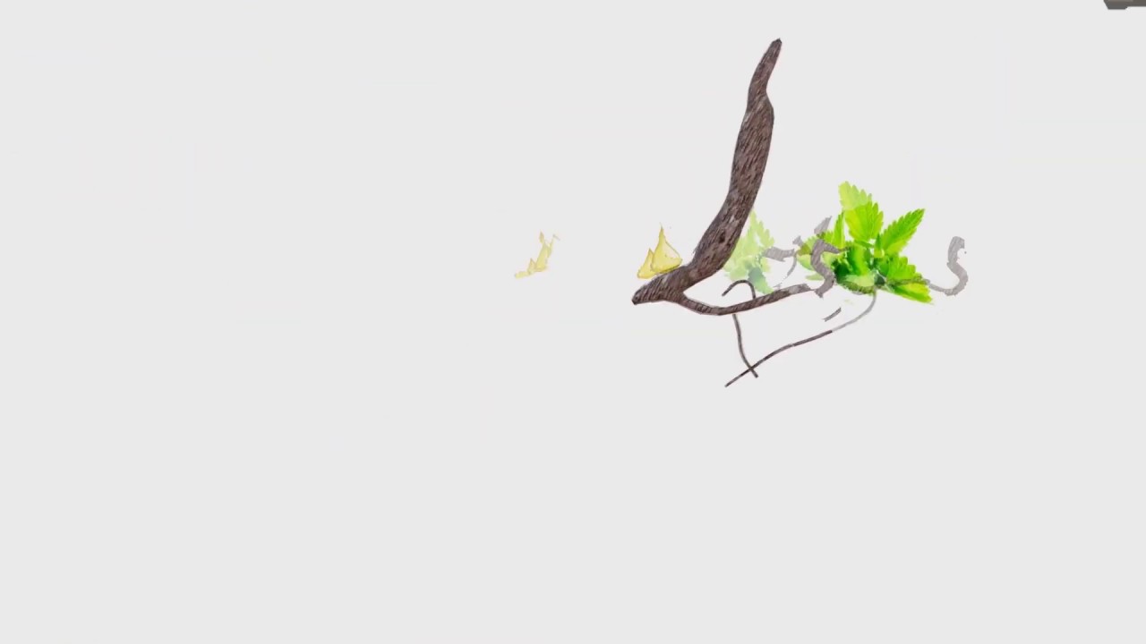 Capung Herbal Pastilles - Licorice - YouTube