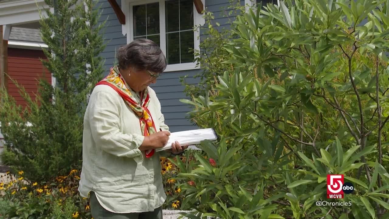 Drawing nature's details: Botanical art classes bloom at Mass ...
