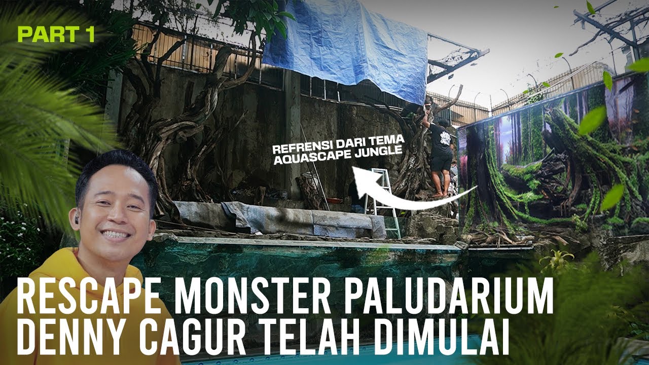 RESCAPE MONSTER PALUDARIUM DENNY CAGUR TELAH DIMULAI DENGAN KONSEP AQUASCAPE JUNGLE - YouTube