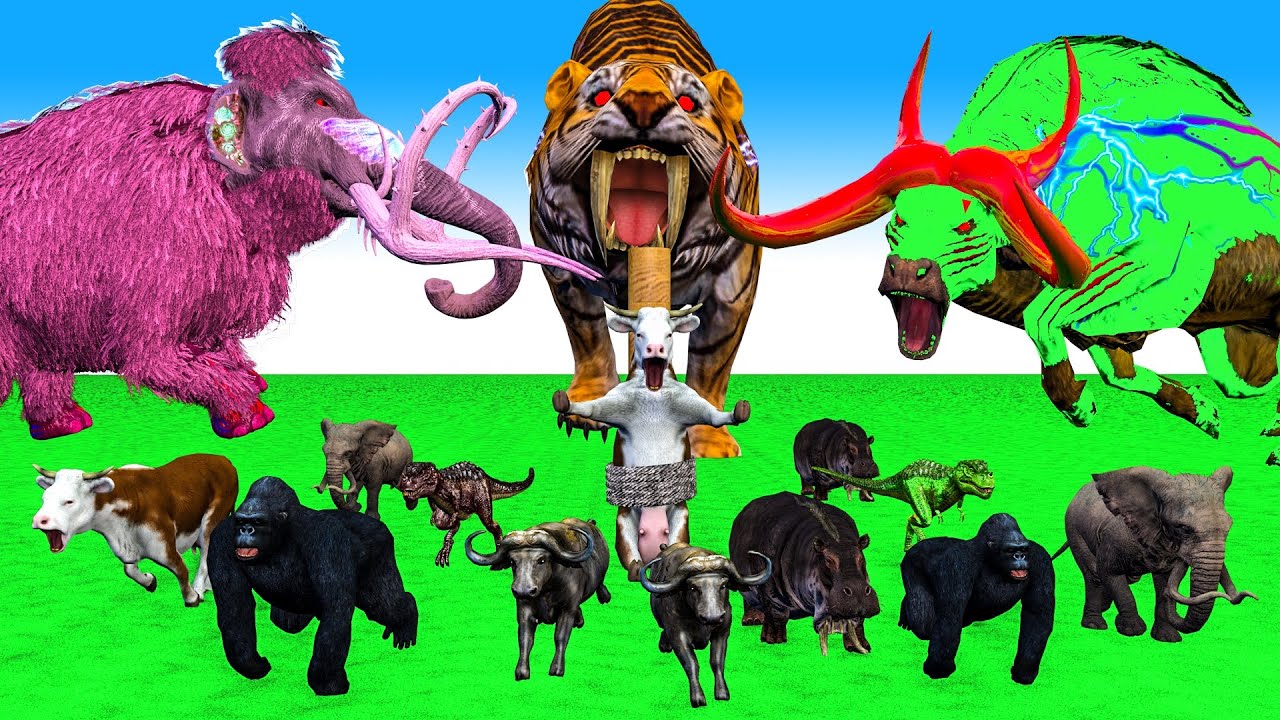 10 Giant Tiger wolf vs 10 Mammoth Elephant Cow Gorilla Fight Baby Cow ...