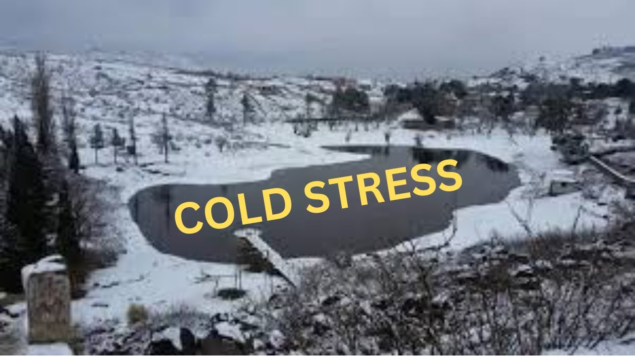 Cold stress management | major cold hazards and effects on body # ...