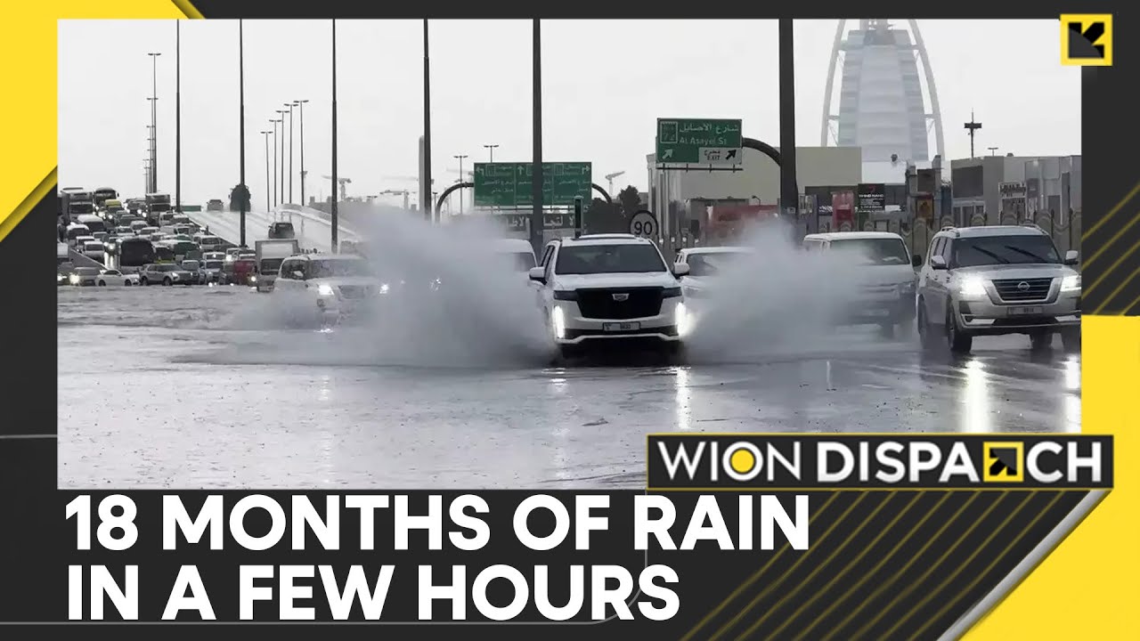 Dubai analyses the cause of sudden heavy rains | WION Dispatch - YouTube