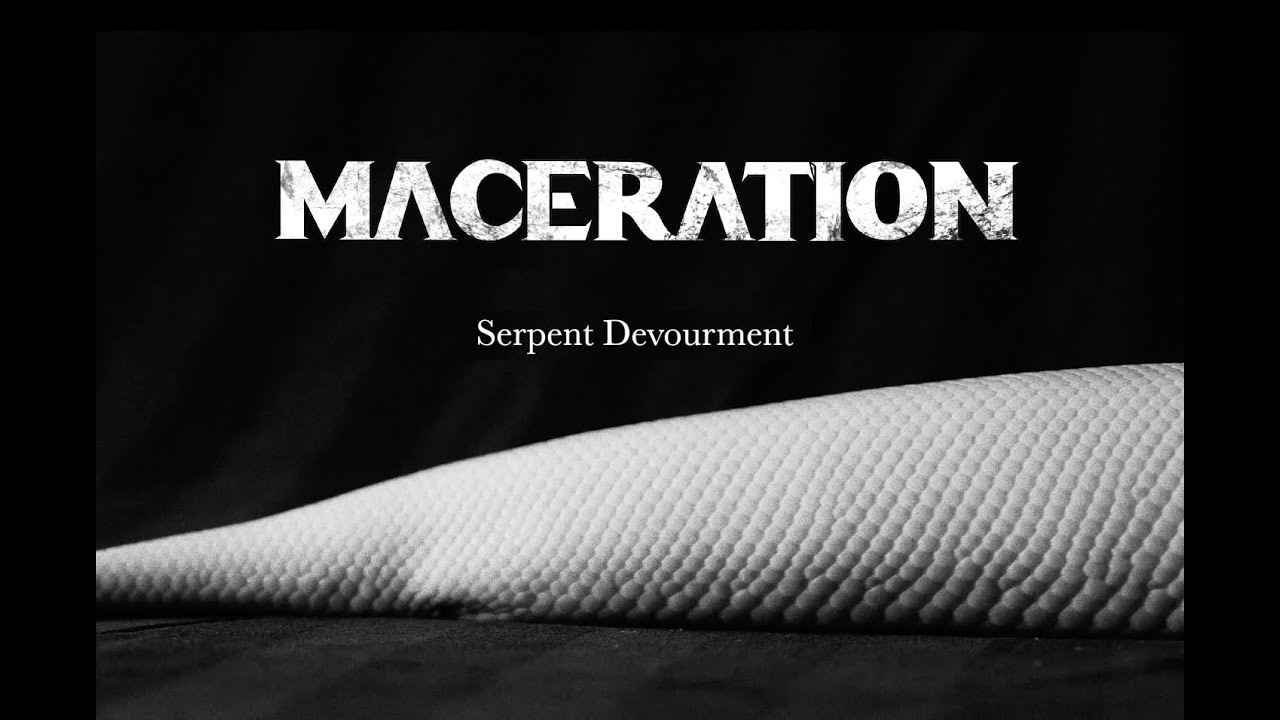 MACERATION - Serpent Devourment (official video) - YouTube