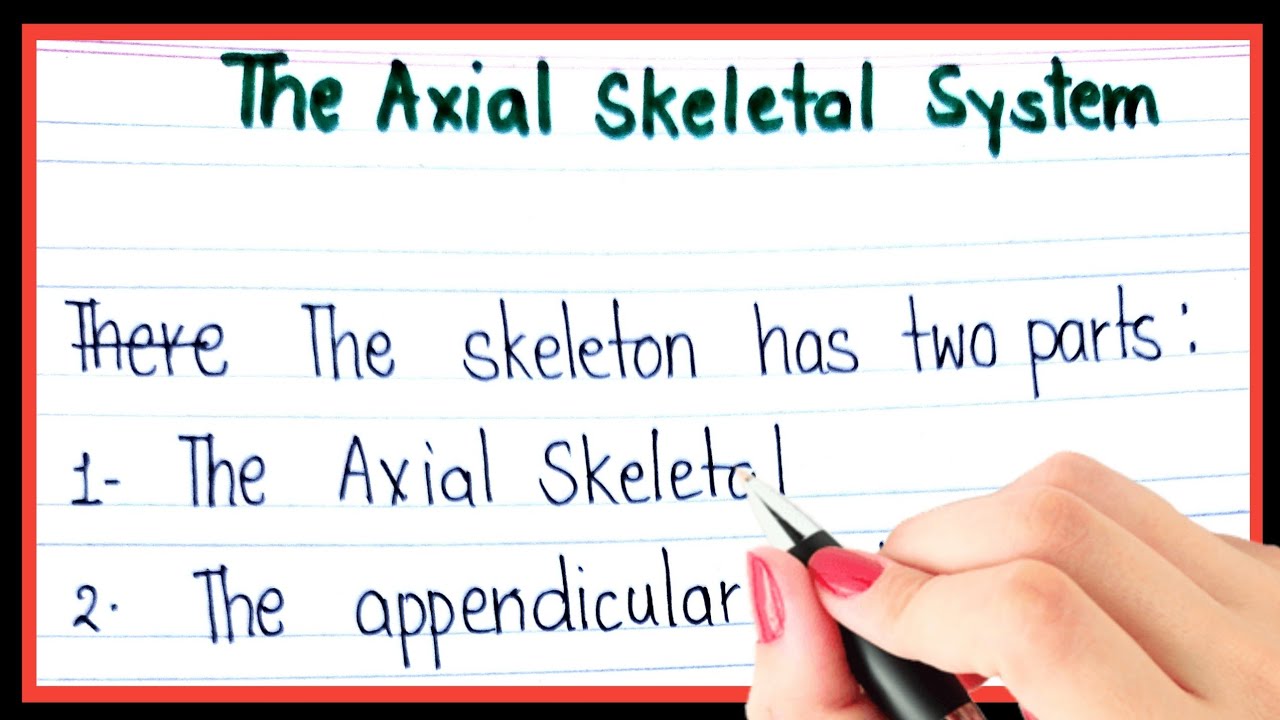 Definition Of Axial Skeleton System What Is Axial Skeleton System Definition Of Axial Skeleton System What Is Axial Skeleton System