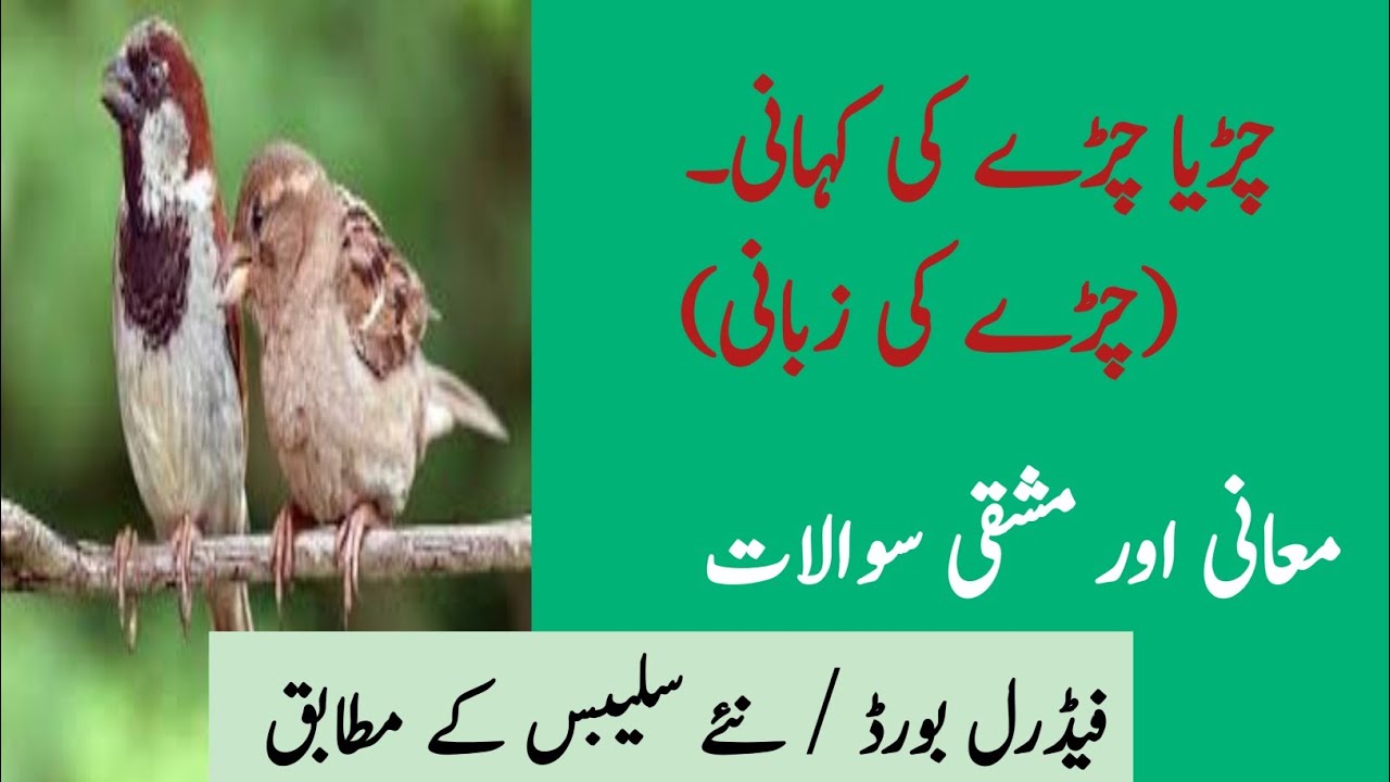 #Chirya chiray ki kahani Urdu 10th (چڑیا چڑے کی کہانی) Fbise /National ...