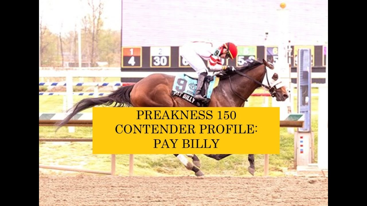 PREAKNESS 150 CONTENDER PROFILE PAY BILLY - YouTube