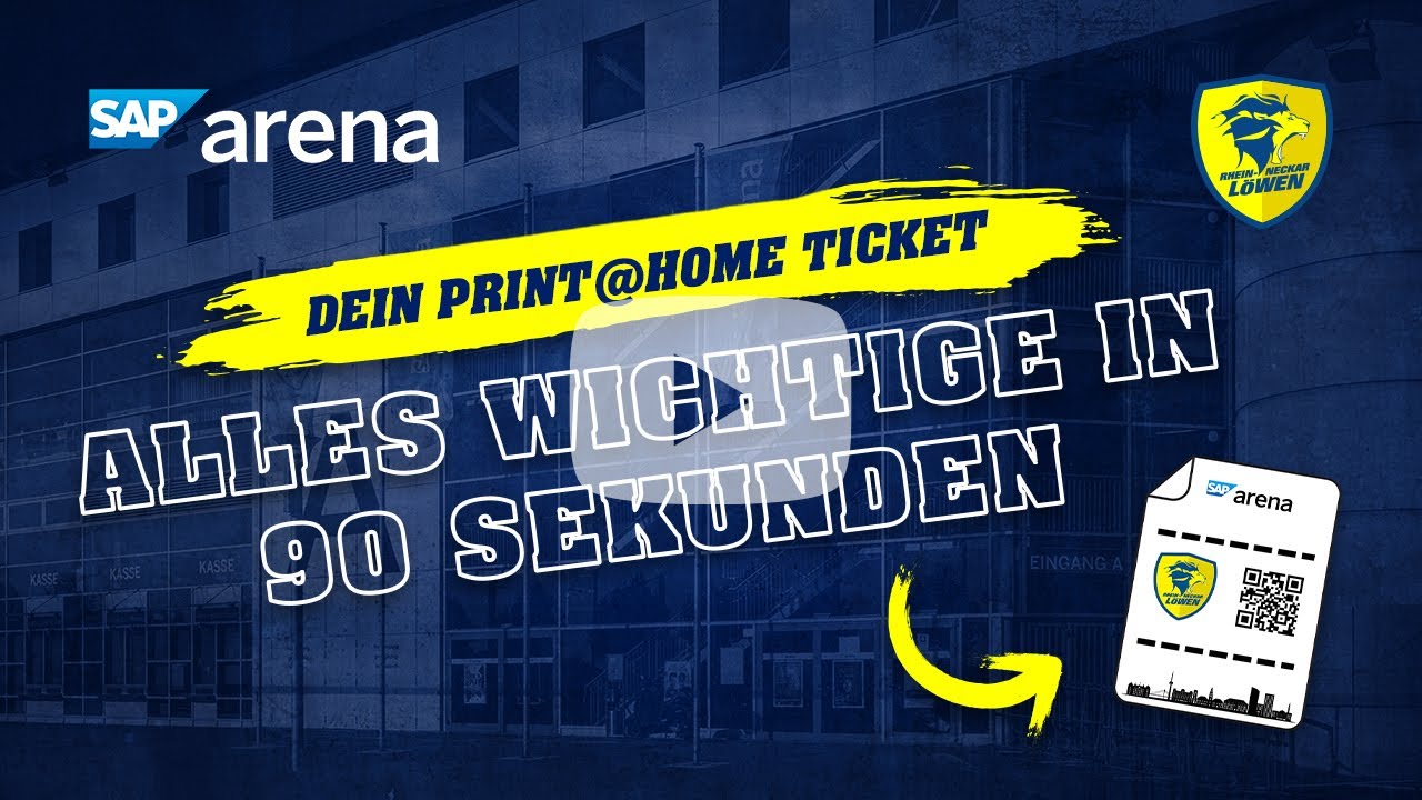 Rhein Neckar Ticket Flex