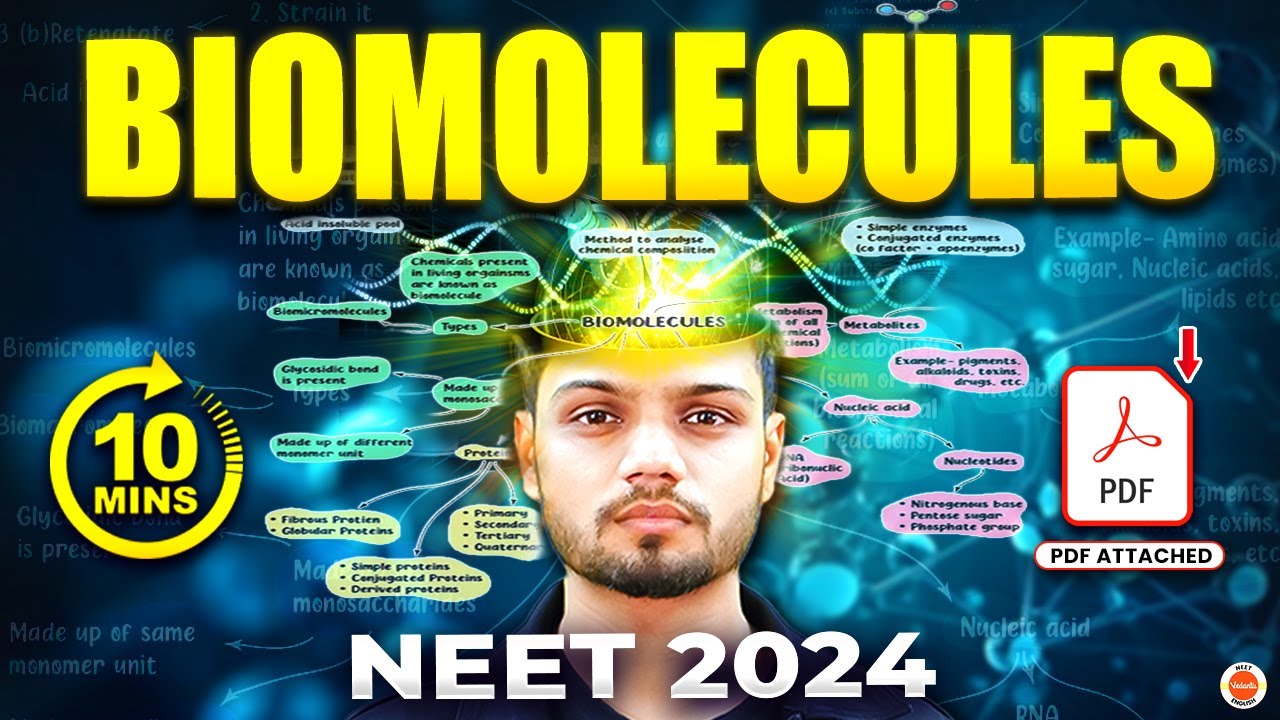 Biomolecules Mind maps 🧠with PDF in just 10 minutes 😍 NEET 2024🔥ONE ...