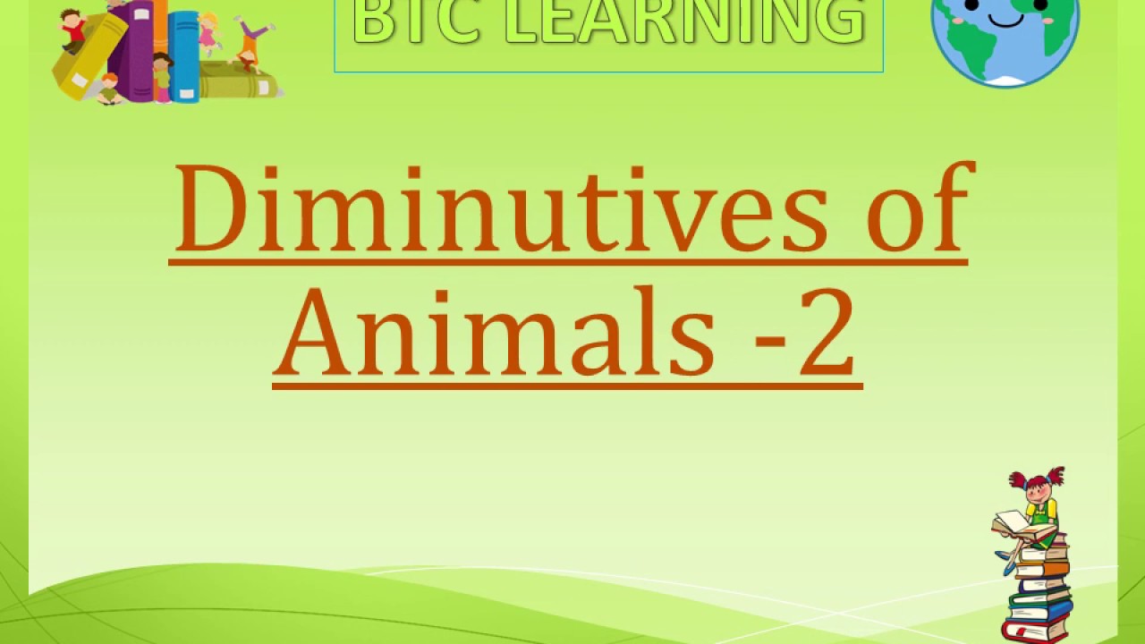 11 Plus Vocabulary - Diminutives for animals 2 - YouTube