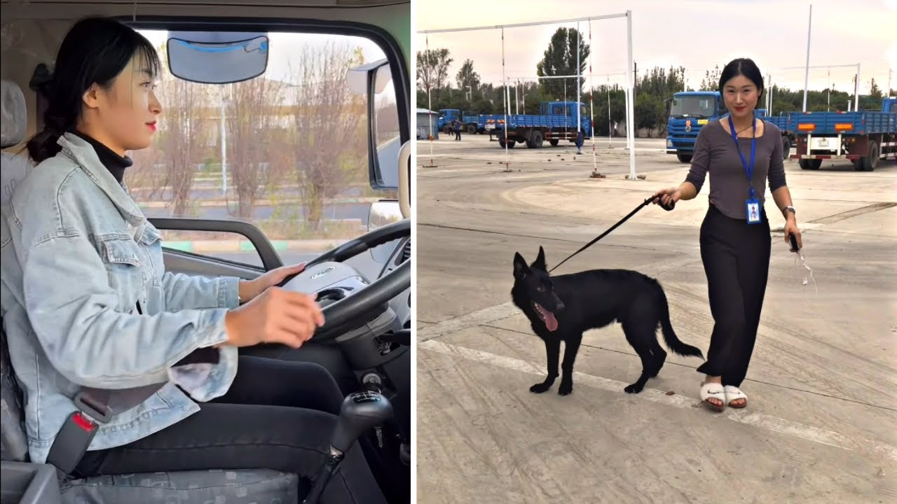 coach in a truck driving academy, Chinese beautiful female truck driver ...