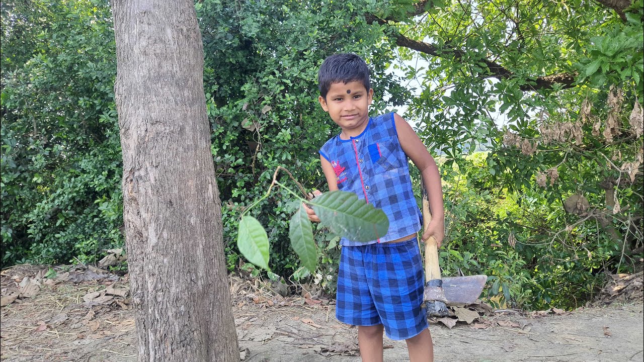 Tree Plantation | Plant a Tree Motivational Videos for Kids | Kids ...