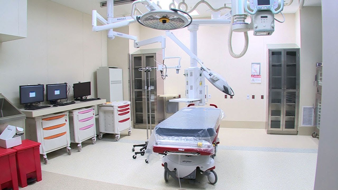 Emergency Department Information System (EDIS) Market Report 2030 by ...