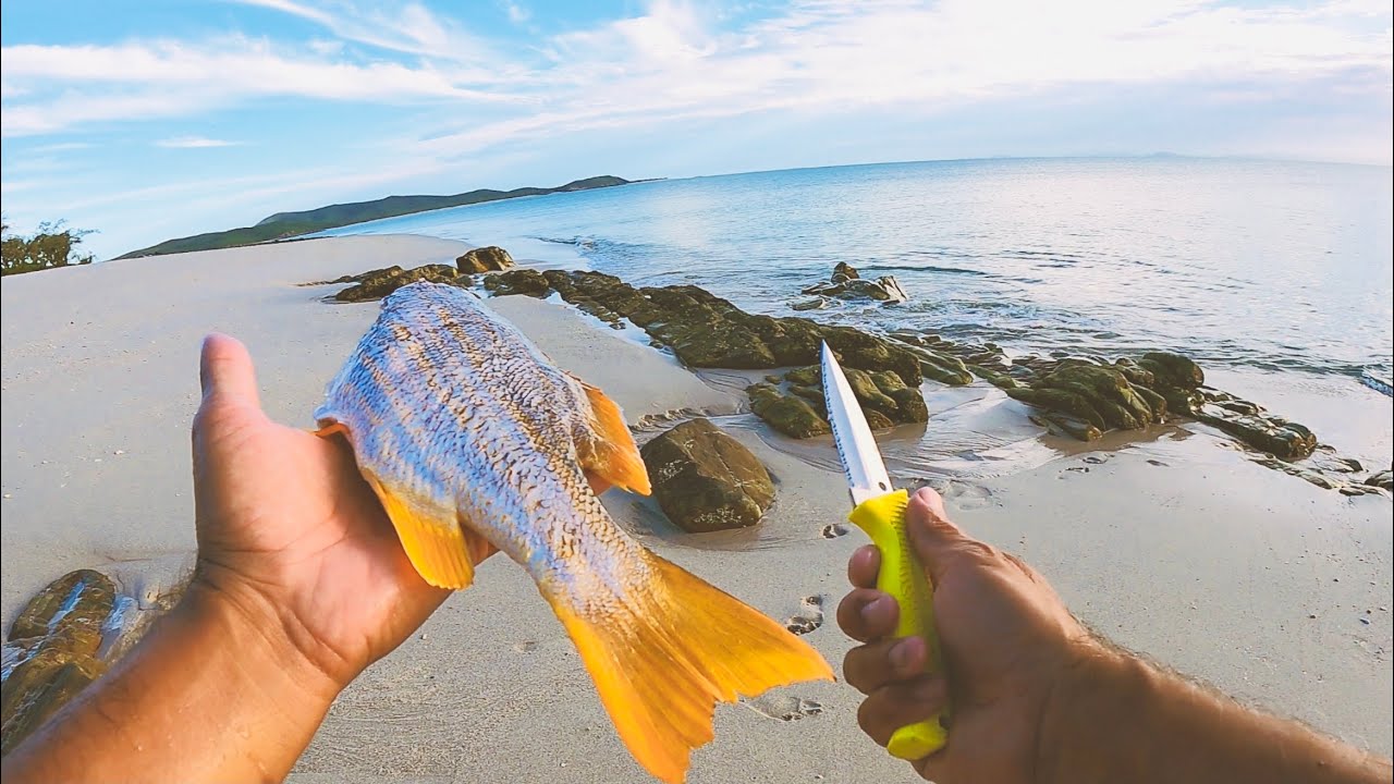 Living From The Ocean - Solo Camping An Uninhabited Tropical Island ...