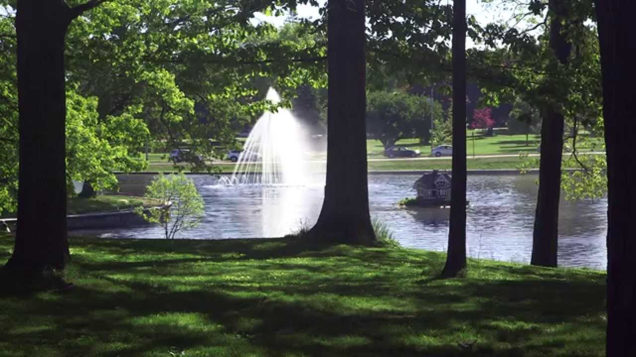 Portland's Urban Forests - YouTube