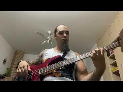 Spider Aula 5 C3 - YouTube