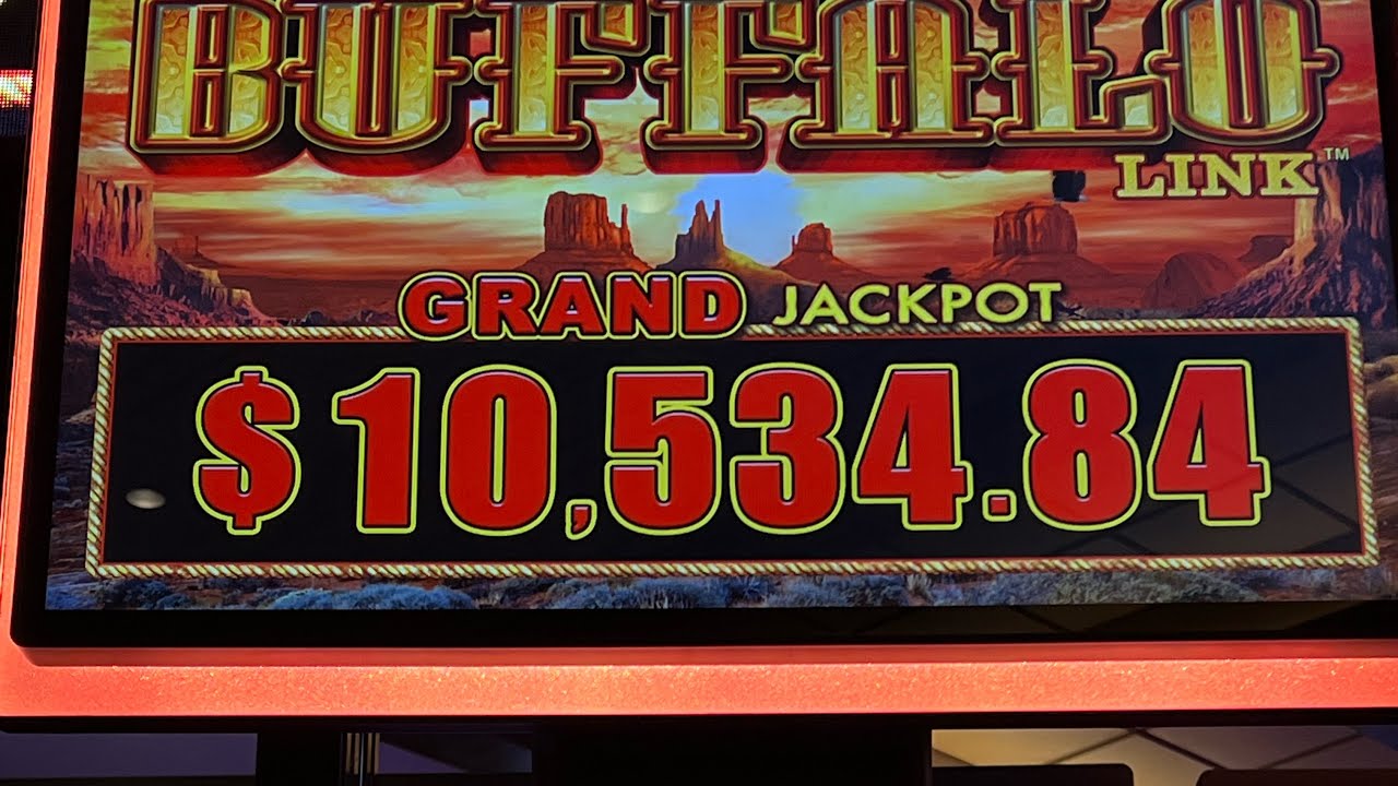 Buffalo | Bonus Round - YouTube