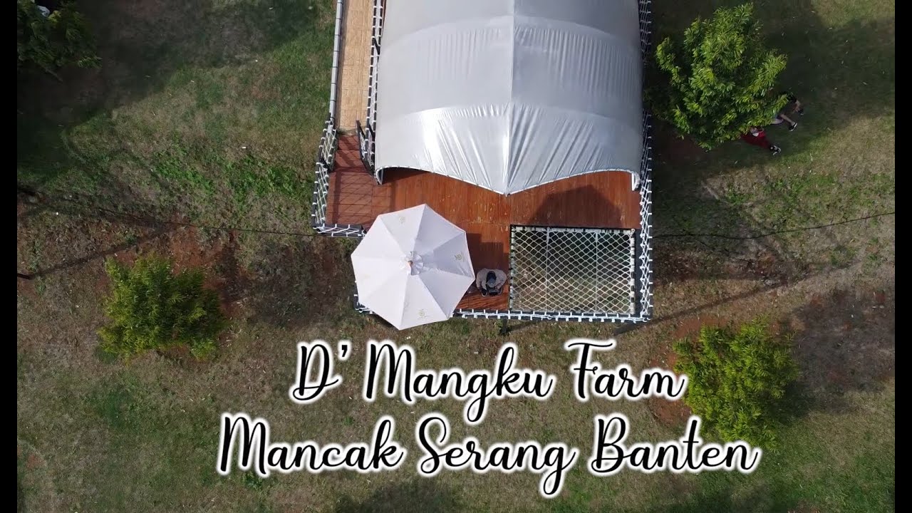 D'Mangku Farm Mancak Serang Banten - YouTube