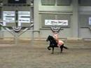 Baron the Friesian at MSU Stallion expo - YouTube