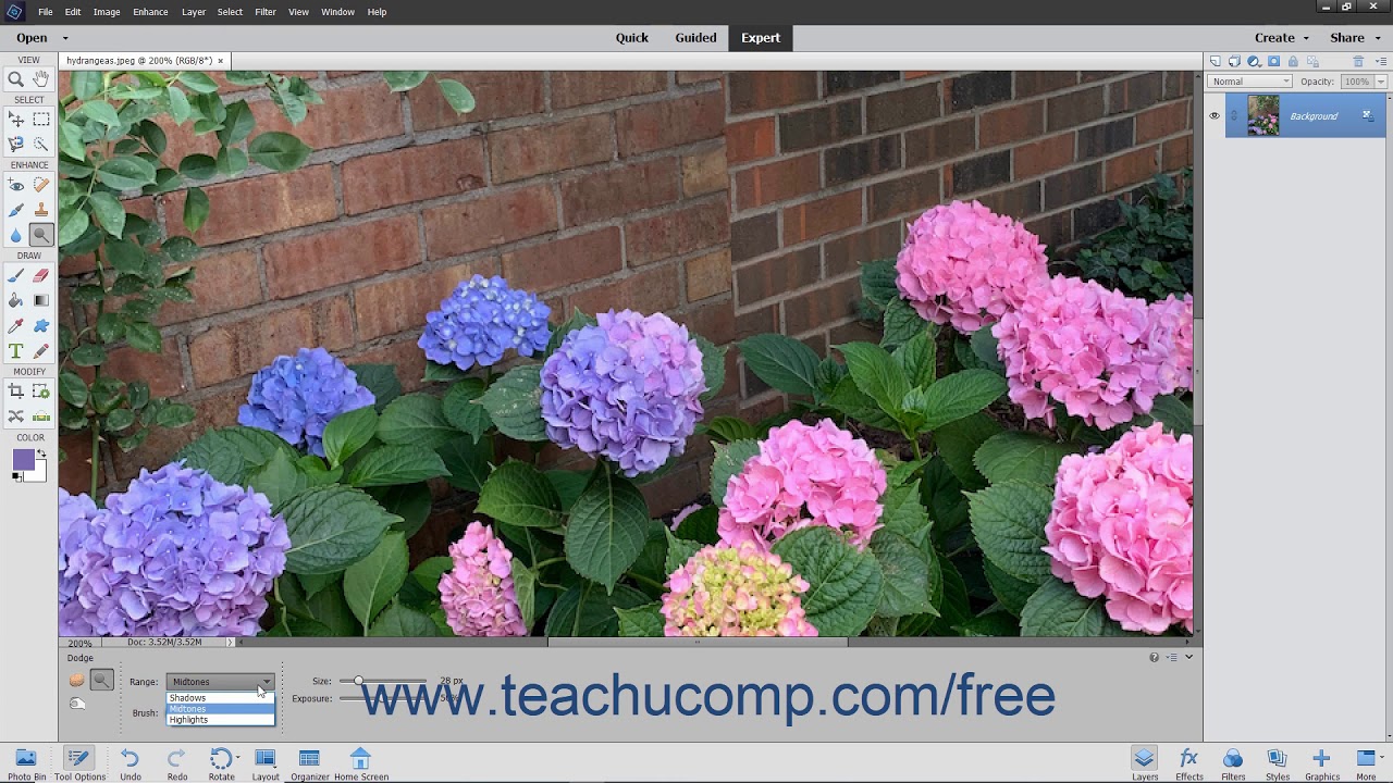 Photoshop Elements 2020 Tutorial Using the Dodge Tool and the Burn Tool ...