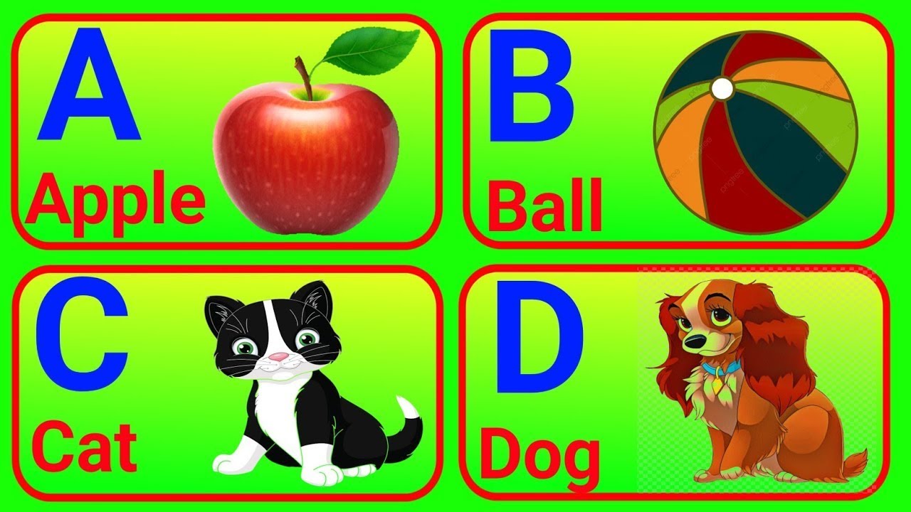 M FOR MONKEY V FOR VAN B FOR BALL Learn ABCD with LIVE Examples | ABC ...