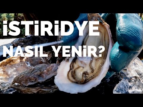 Çiğ İstiridye Nasıl Açılır ve Nasıl Yenir?