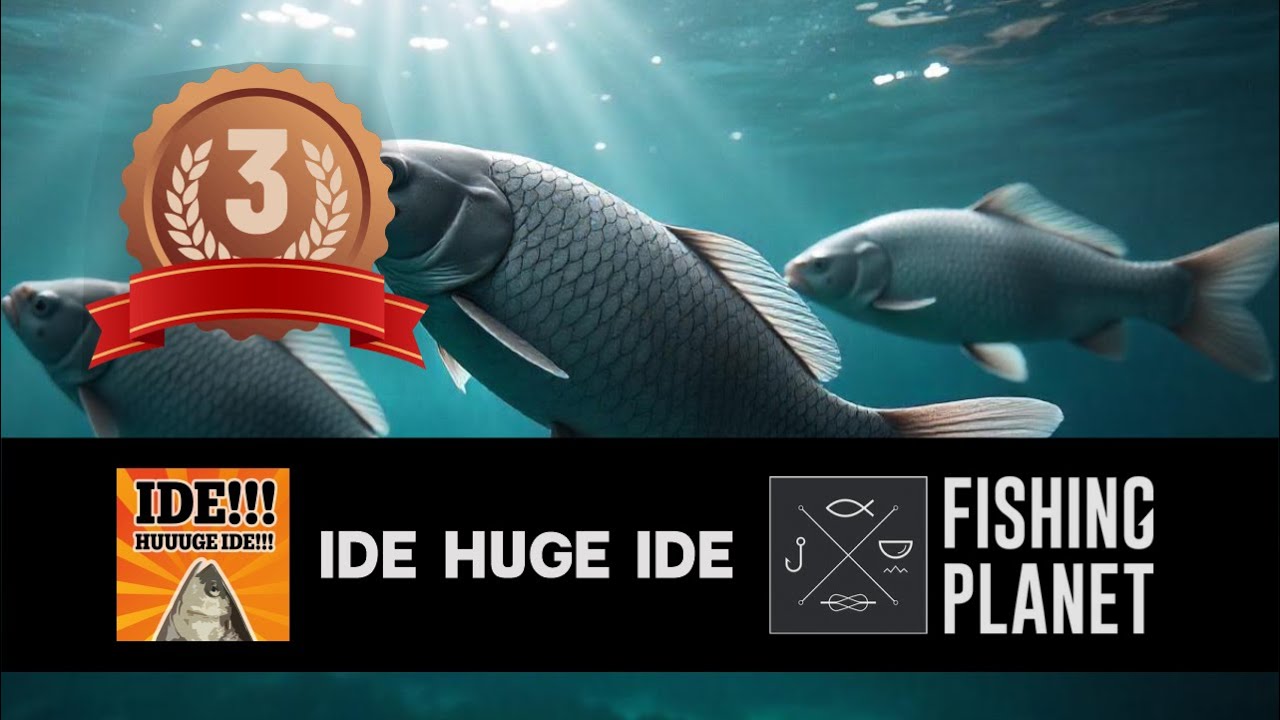 FISHING PLANET COMPETITION - Ide Huge Ide UNCUT 3rd Place Ft Unique ...