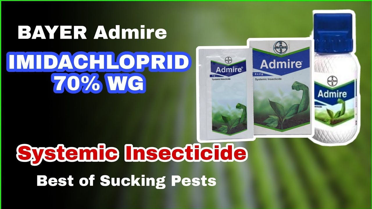 Bayer Admire | Imidachloprid 70%WG | Systemic Insecticide | Best ...