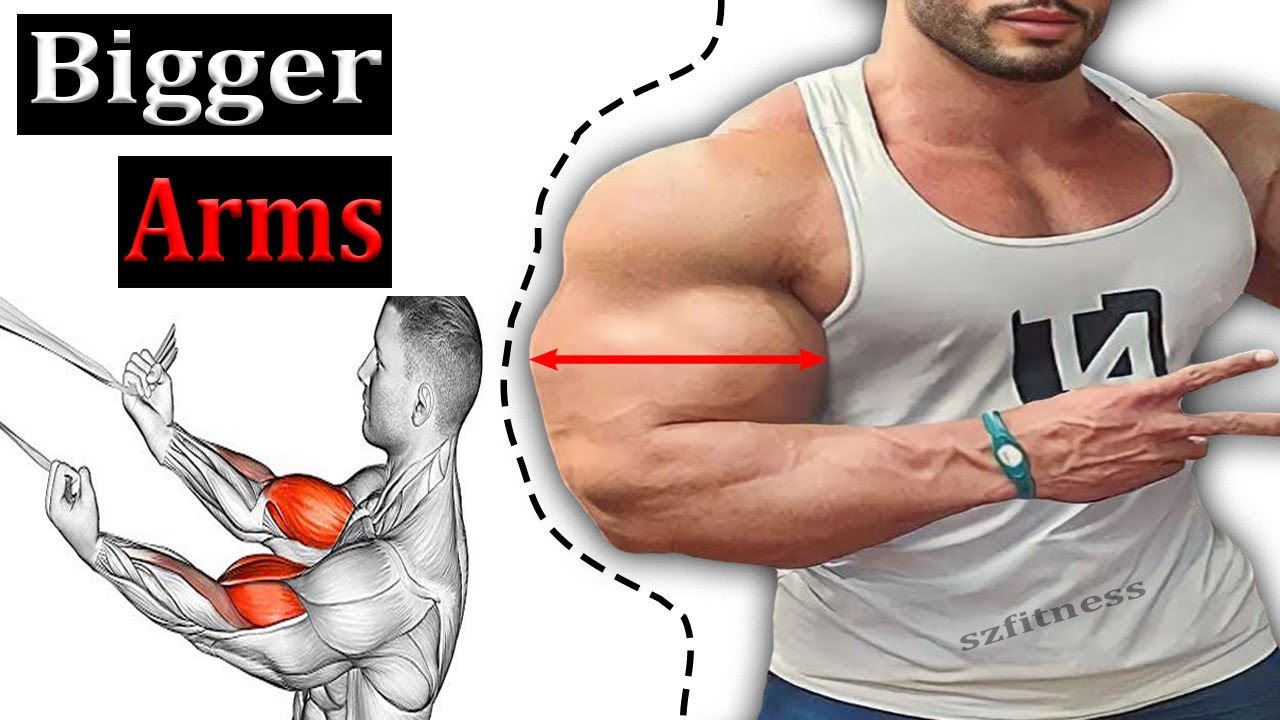 Workout For Arms To Get Bigger Arms | How To Get Bigger Arms | Arm ...