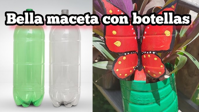 Jardín De Botellas De Refresco Recicladas Cebollin