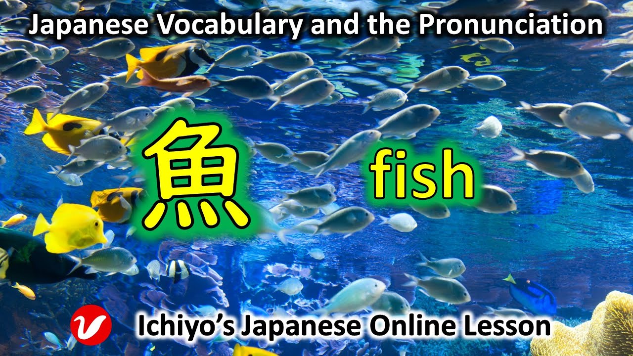 魚 (さかな、sakana) | fish | Japanese Vocabulary and the Pronunciation - YouTube