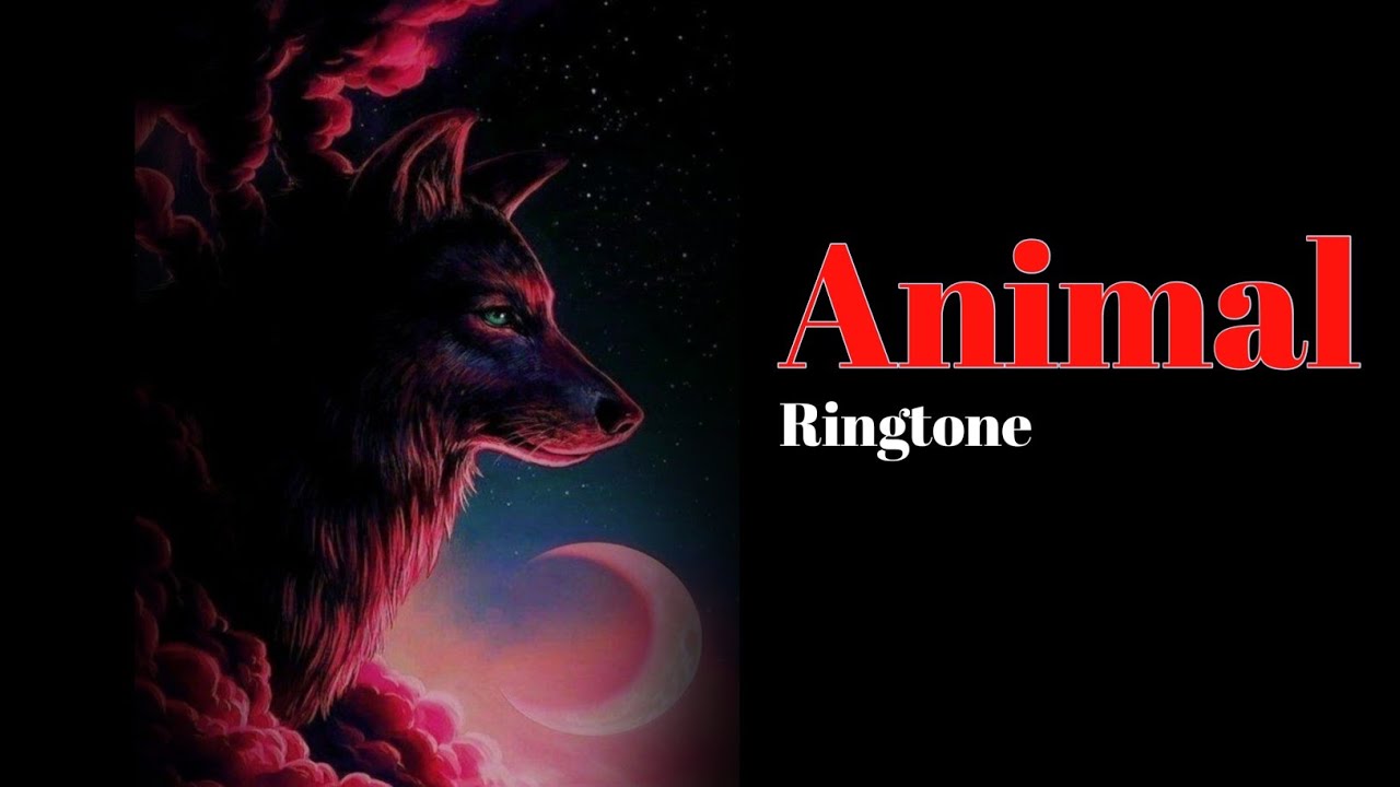 ANIMALS BGM RINGTONE|| Animal trance Ringtone|| Music Media|| english ...