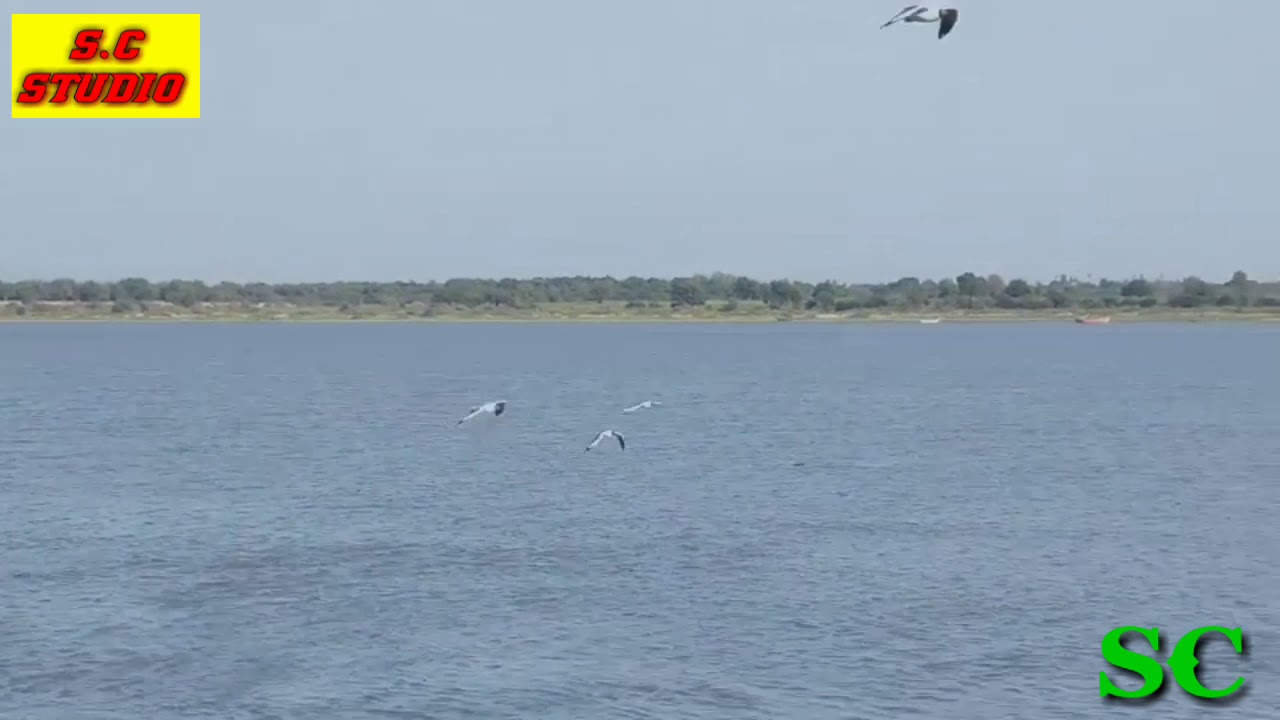 Narmada river in Bharuch - YouTube