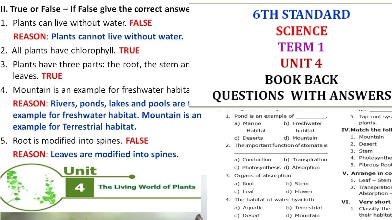 6TH STANDARD SCIENCE TERM 1 UNIT 4 FULL ANSWERS TN SAMACHEER KALVI 6th-standard-science-term-1-unit-4-full-answers-tn-samacheer-kalvi