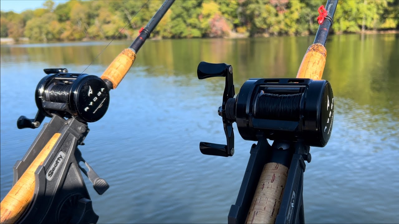 INSANE Carp Bite in a LIVESTREAM!! - YouTube