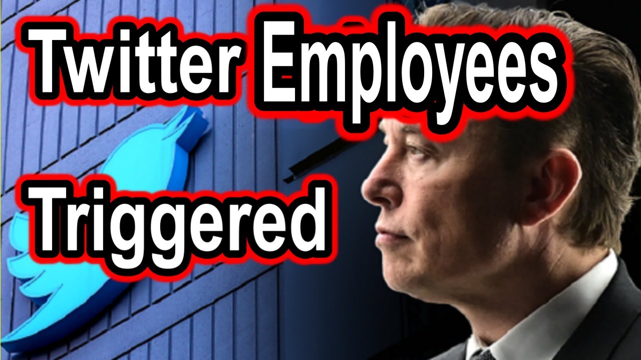Twitter Employees Having A Meltdown - YouTube
