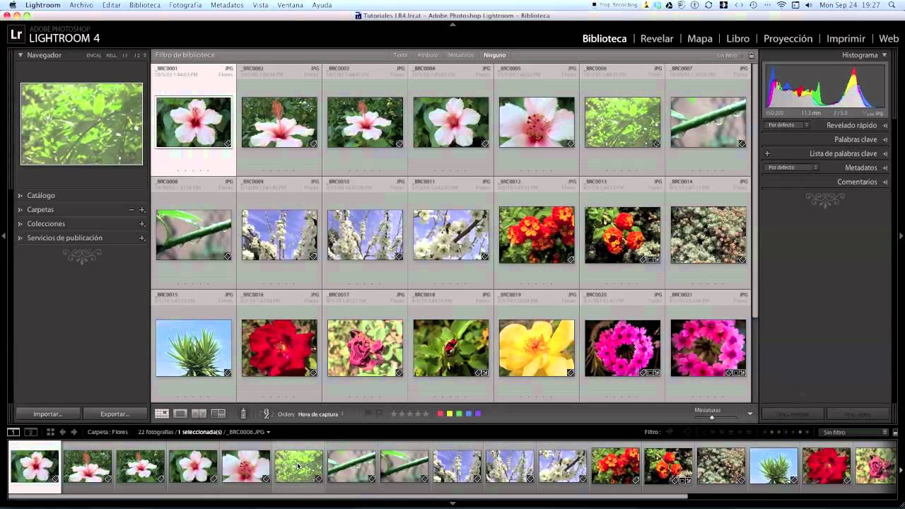 03 - Los paneles de Lightroom (tutorial de Lightroom) - YouTube