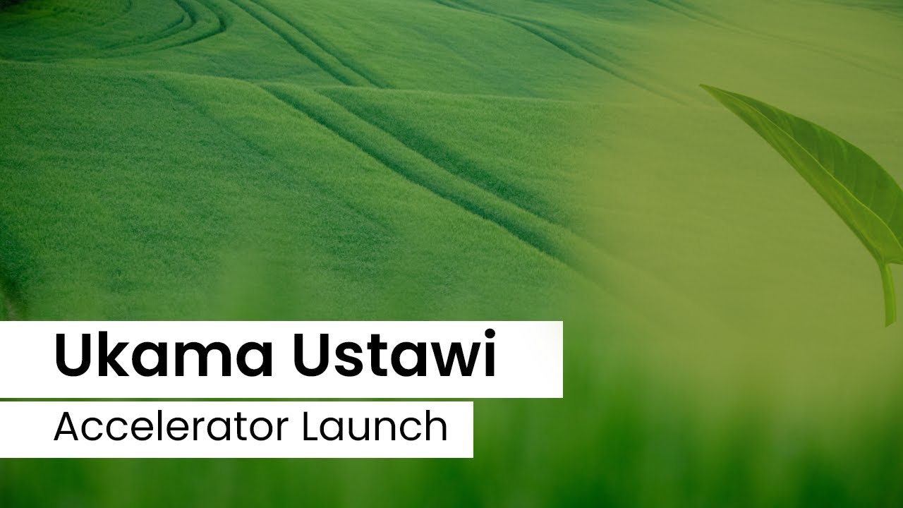 The Launch of Ukama Ustawi Accelerator - YouTube