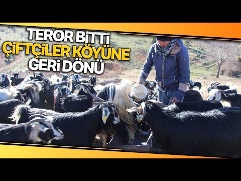 Huzur ve Güven Ortamıyla Köyüne Geri Dönen Çiftçinin Yüzü Güldü