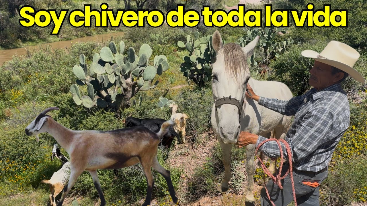 Crecí siendo chivero desde los 9 años | Orgullo del campo mexicano ...