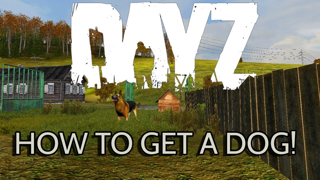DayZ Breaking Point How Where To Find A Dog YouTube dayz-breaking-point-how-where-to-find-a-dog-youtube