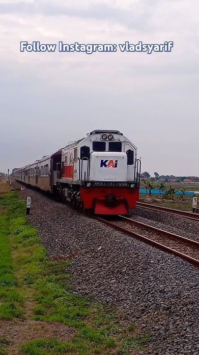 Kereta mewah Java Priority melewati Desa Bojong Lor, Cirebon # ...