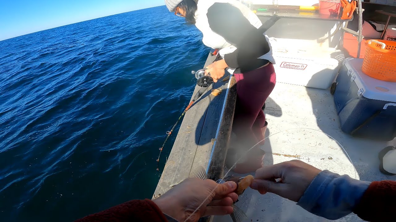Offshore Wreck Fishing for Sea Bass & Cod on the King Cod - YouTube