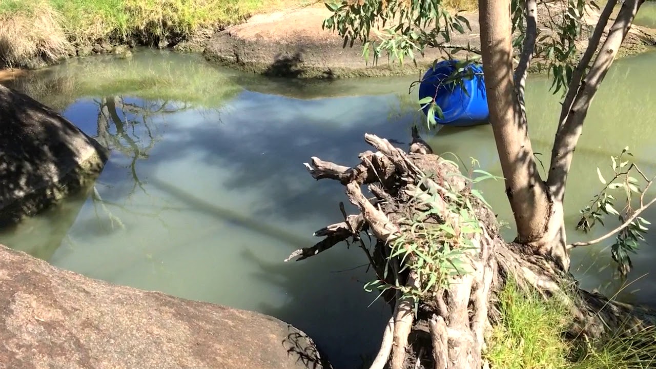 Swanport Reserve | Murray Bridge | South Australia - YouTube