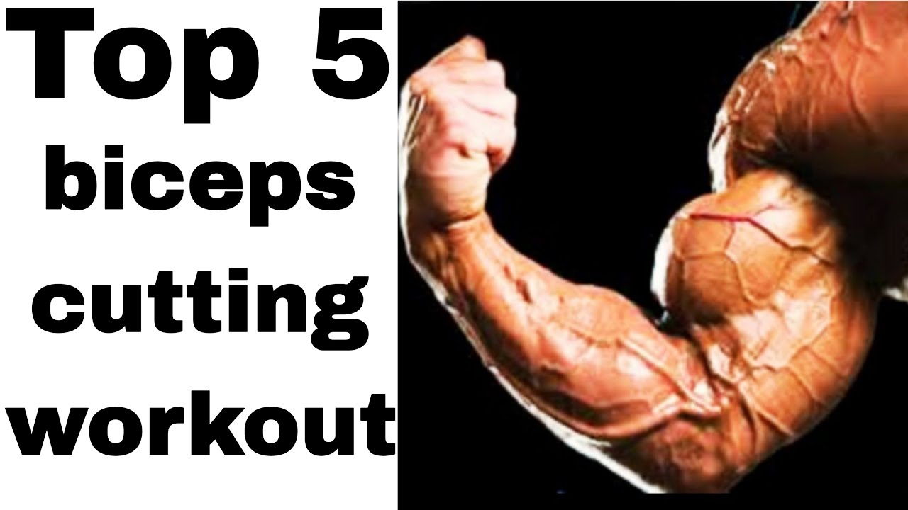 Top 5 biceps cutting workout | day 18 | 60 days fat to fit series ...