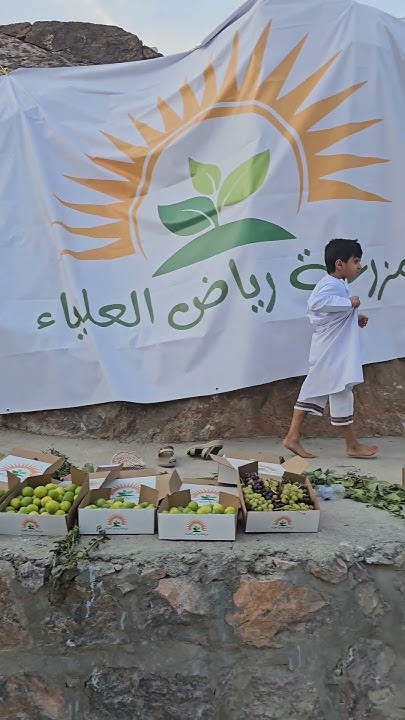 GRAPES FARM OMAN - YouTube