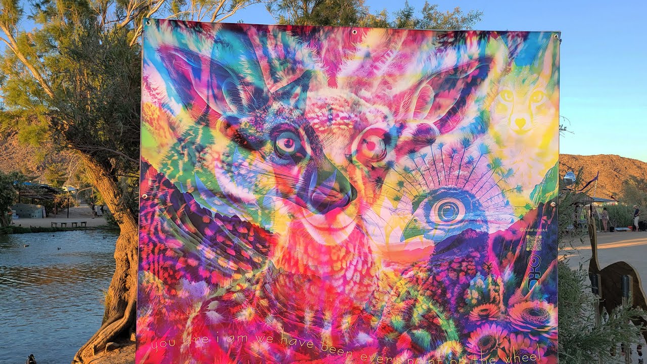 RGB Light-Animated Mural at Joshua Tree Music Festival - YouTube