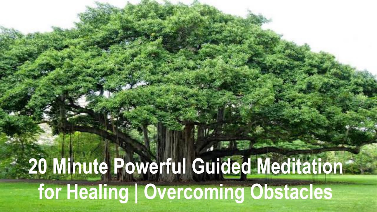 20 MINUTE POWERFUL GUIDED MEDITATION FOR HEALING | OVERCOMING OBSTACLES ...