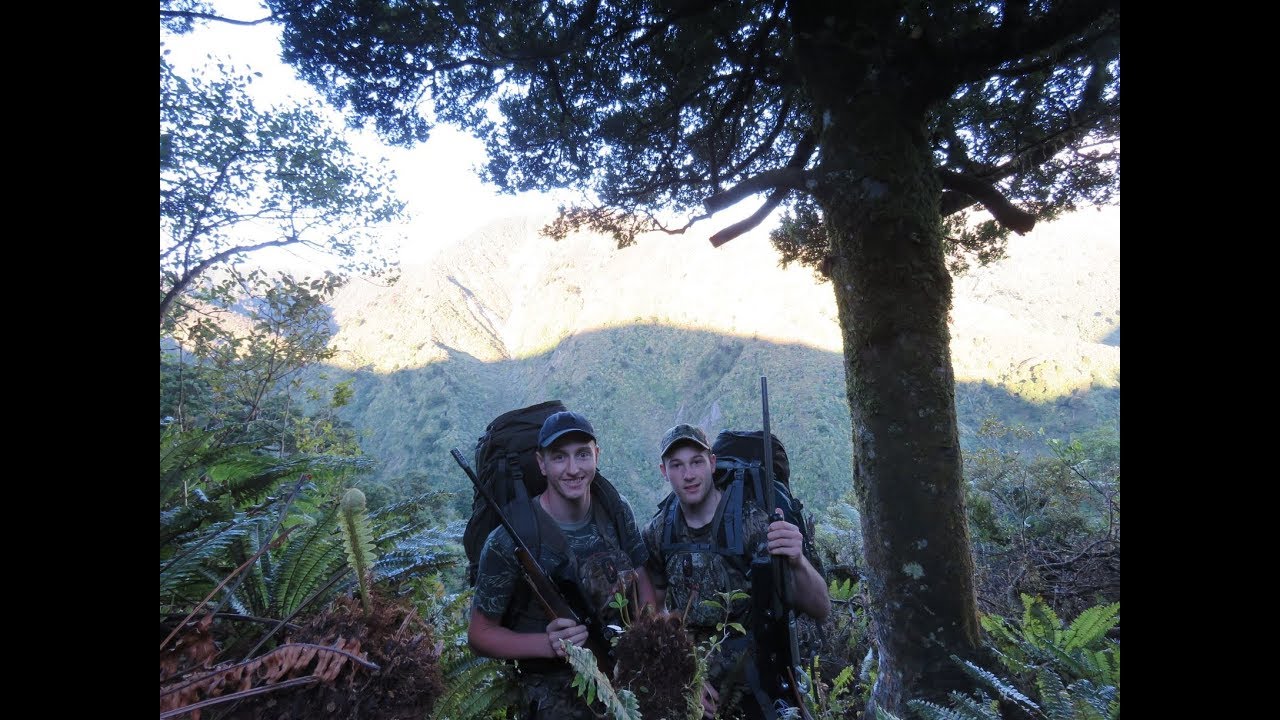 Ruahine Spring Hunting - 1000 yard club - YouTube