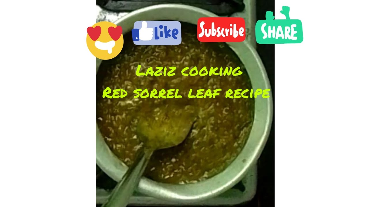 #red sorrel leaf recipe # laziz cooking - YouTube
